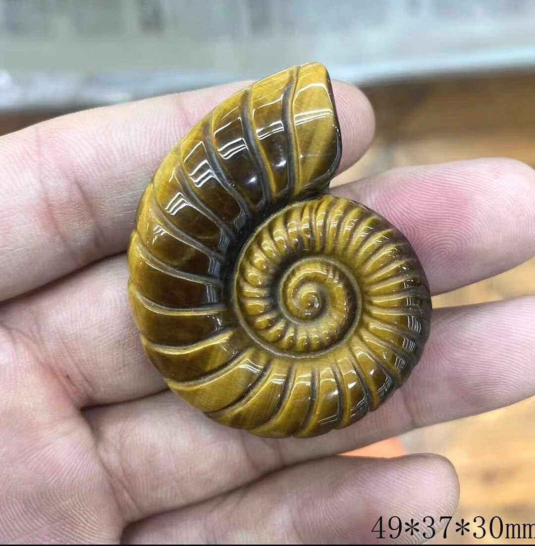 Tiger Eye Sea Shell Necklace Gemstone Jewelry Design Carved Pendant ...