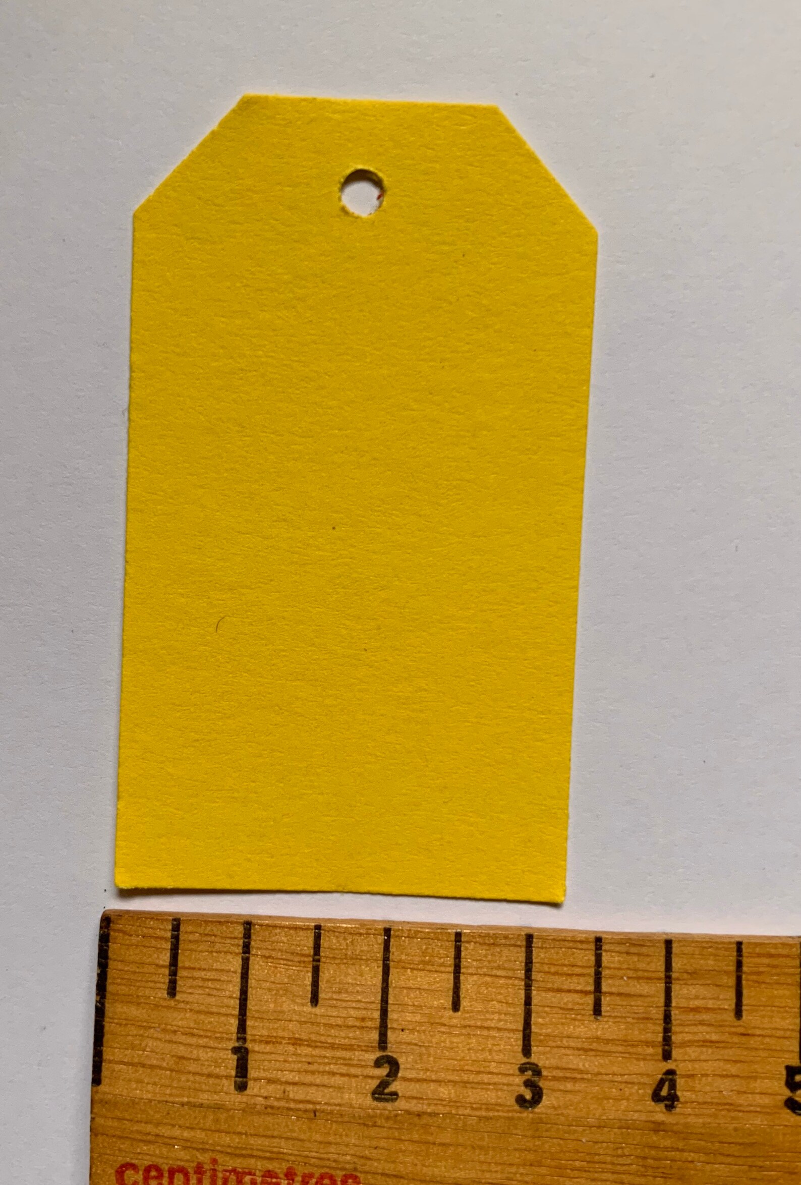 Multi Coloured Tags Blank Tags 5.5 X 3cm Choice of Colours - Etsy Sweden