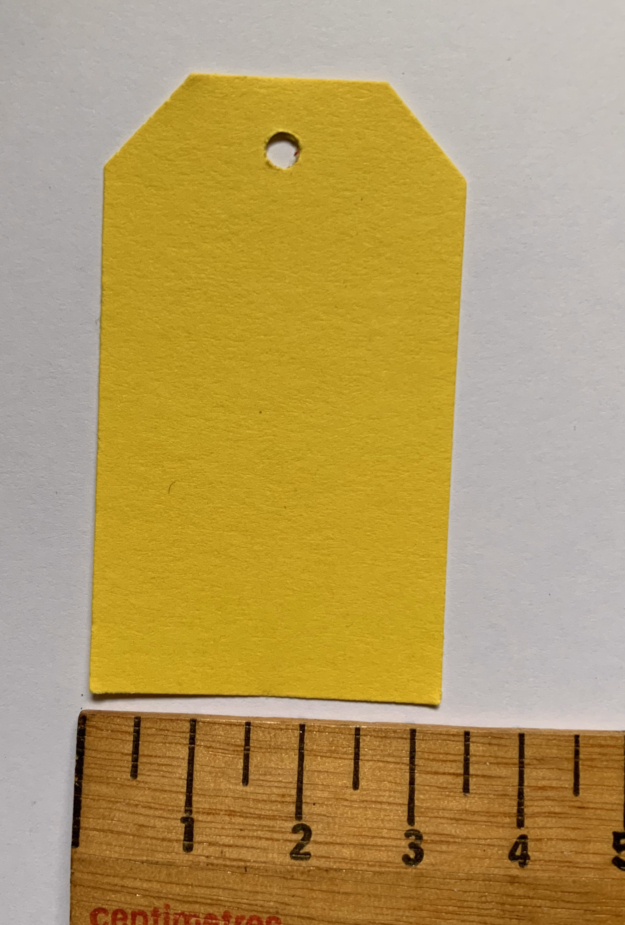 Multi Coloured Tags Blank Tags 5.5 X 3cm Choice of Colours - Etsy Sweden