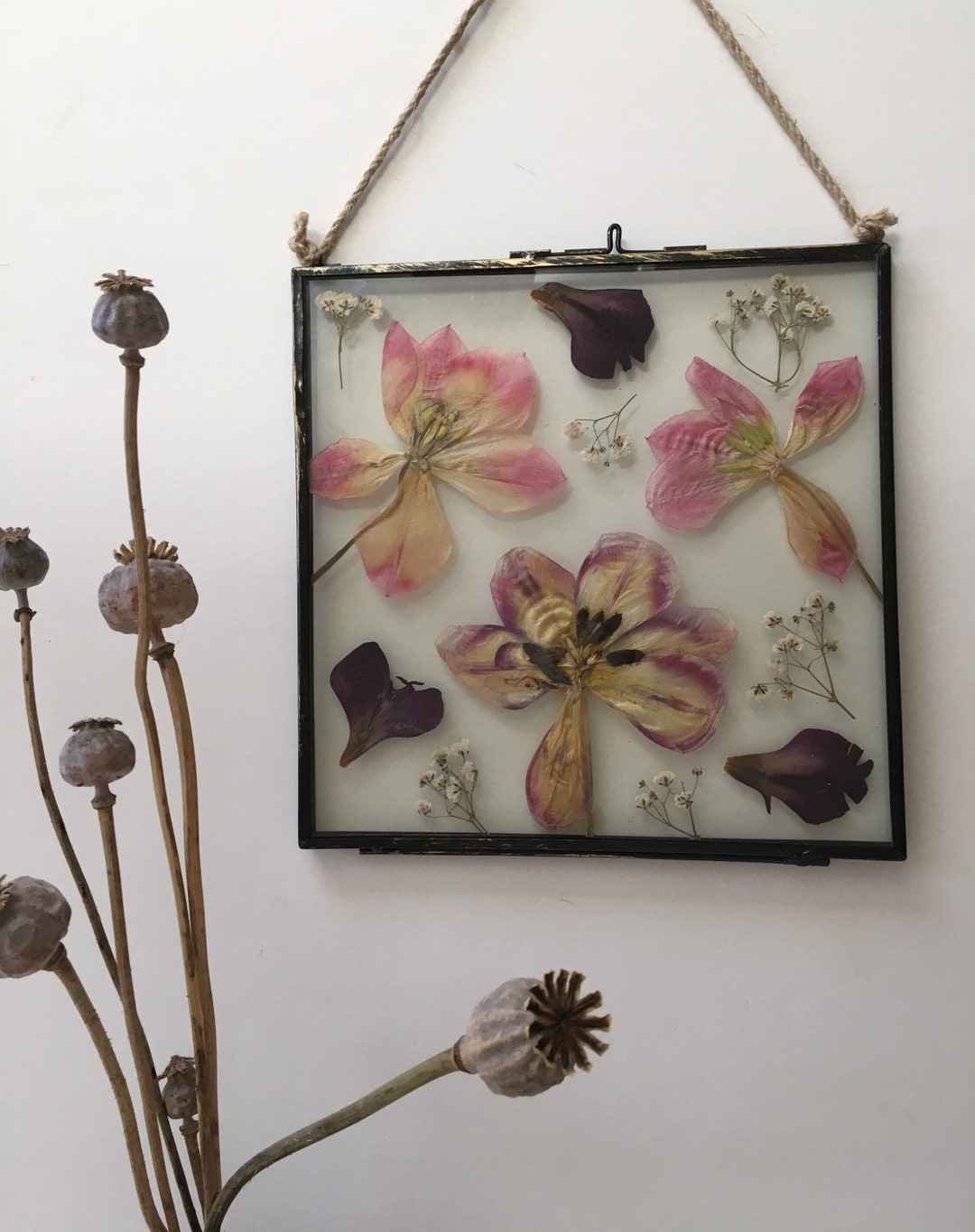 Pressed Tulip Flower Frame Real Tulip Artwork. - Etsy