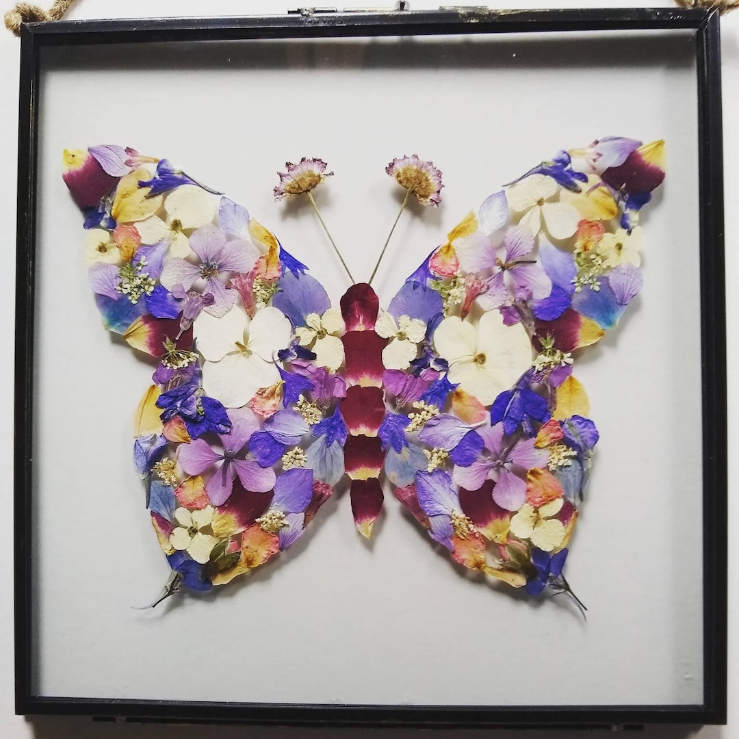 Pressed Flower Butterfly Real Flower Butterfly. Your Choice of Flowers ...