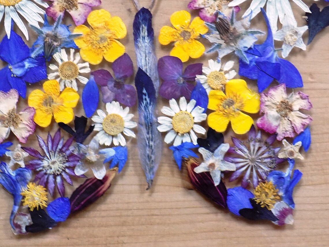 Pressed Flower Butterfly Real Flower Butterfly. Your Choice - Etsy