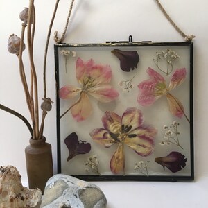 Pressed Tulip Flower Frame Real Tulip Artwork. - Etsy