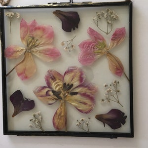 Pressed Tulip Flower Frame Real Tulip Artwork. - Etsy