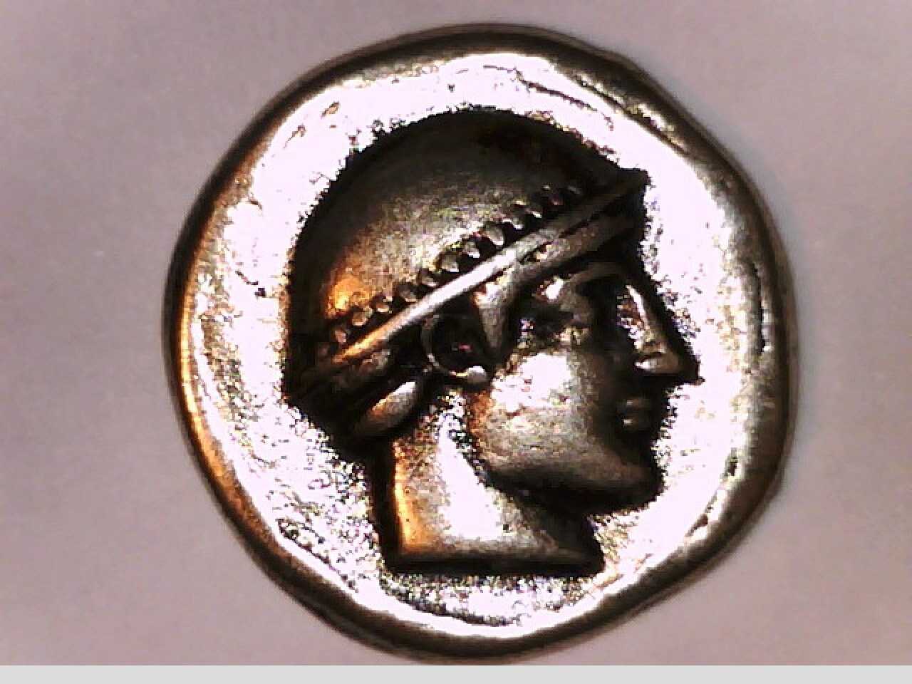 Greek Petasos