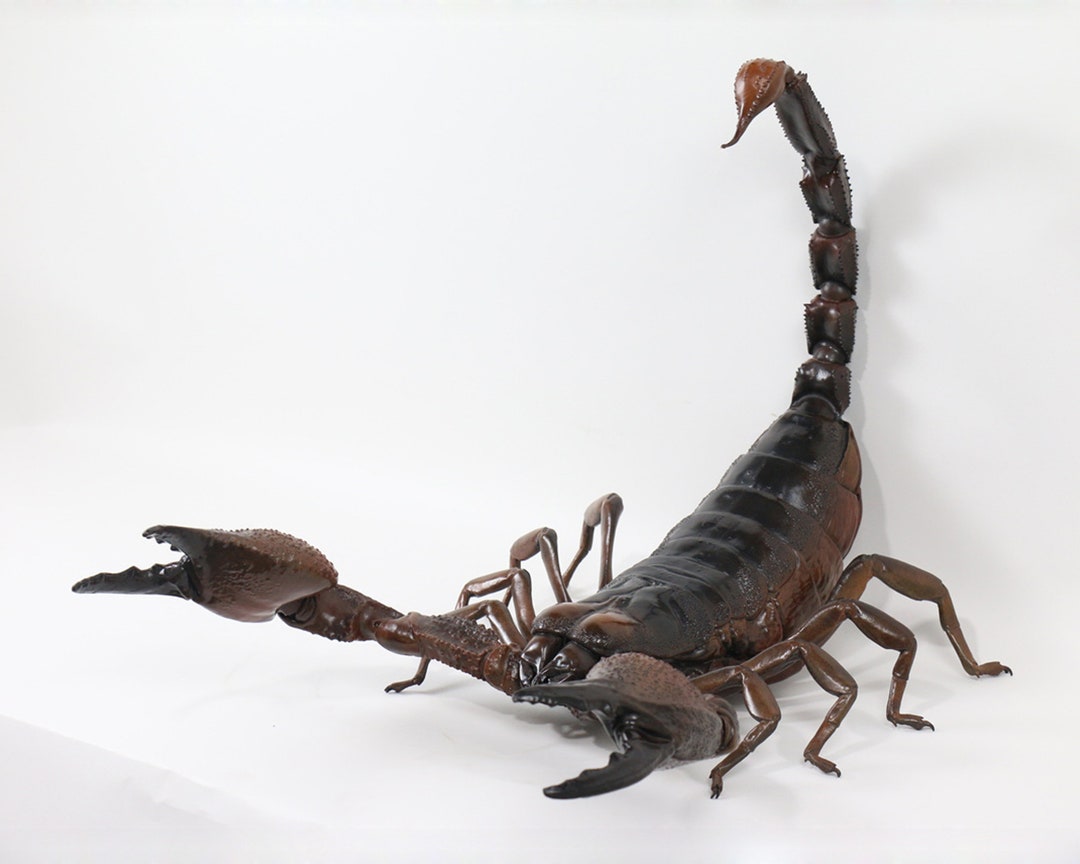 8.2 Inch Metal Colored Copper Scorpion Figurine Crafts,lost Wax Casting ...