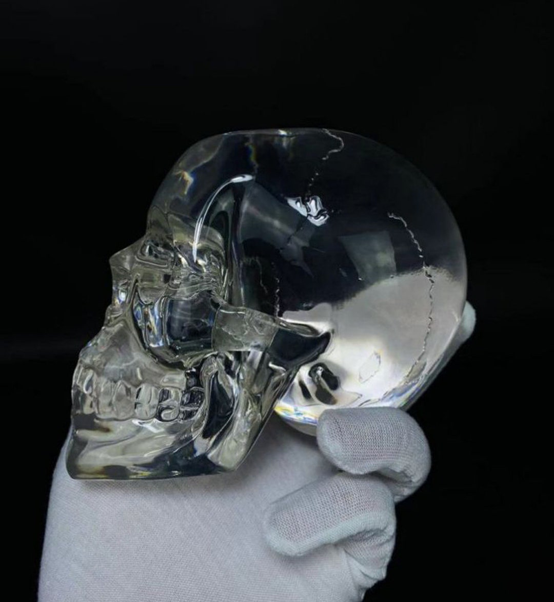 COOL 1:2 Human Clear Skull Transparent Resin - Etsy