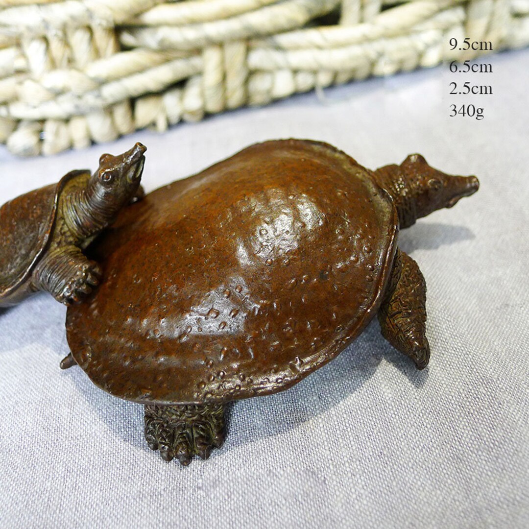 Lifelike Bronze Casting Chinese Soft-shelled Turtle, Dragon Turtle ...