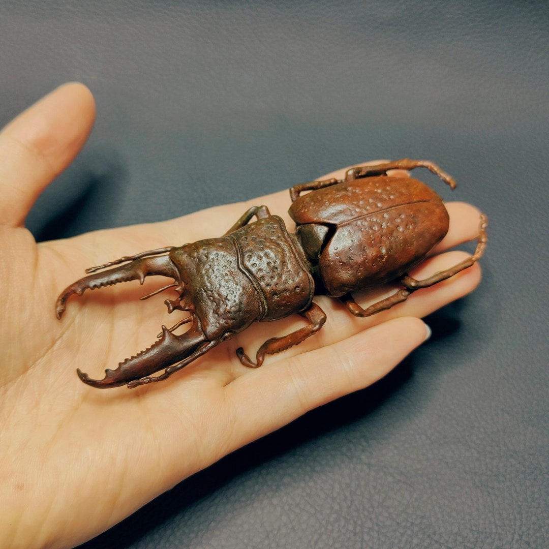 Lifelike Bronze Beetle Statue,copper Metal Artwork,beetle Insect Statue ...
