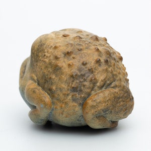 Brass Copper Casting Toad Statue, Hand Lost Wax Casting Cute Toad Piggy ...