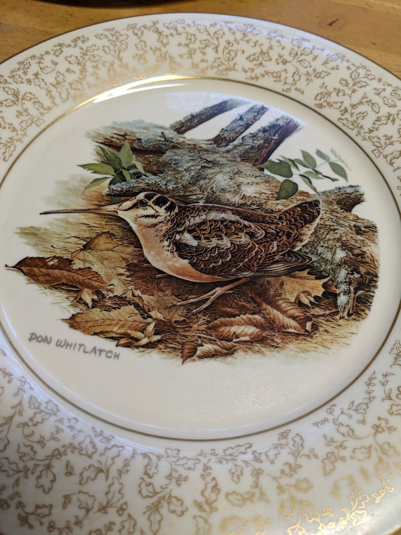 Gorham Fine China "nature Portraits of America" by Don Whitlatch -- Set ...
