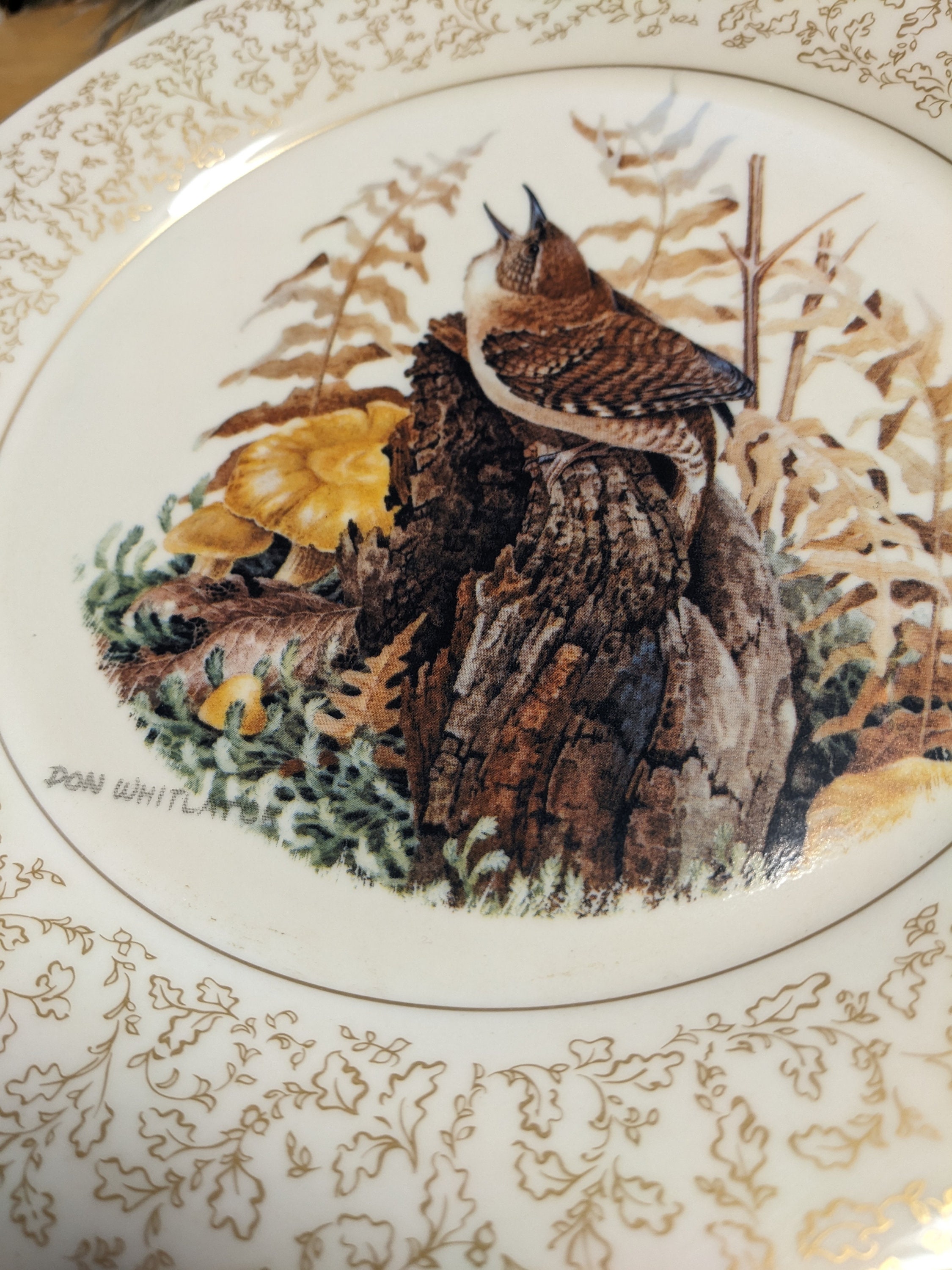 Gorham Fine China "nature Portraits of America" by Don Whitlatch -- Set ...