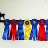 Showoff Ribbon Rack Akita - Etsy