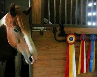 Showoff Ribbon Rack Rocky Mountain Horse | Etsy