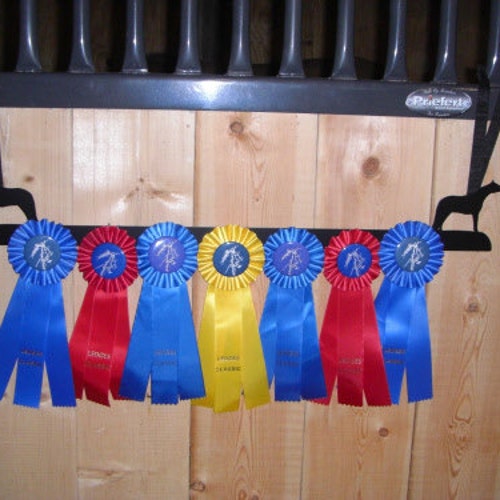 Showoff Ribbon Rack 0021S Mini Horse - Etsy
