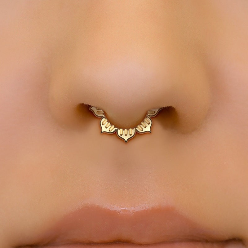 Real Indian Septum Ring - Etsy