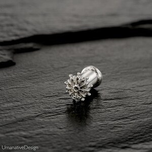 Ear Gauges, Ear Tunnels, Plugs and Tunnels, Ear Plugs, Sterling Silver ...