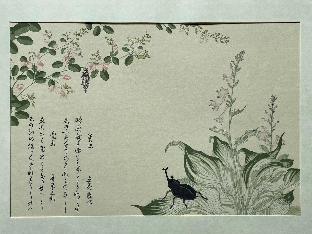 Japanese Ukiyoe, Woodcut Print, Utamaro, "horned Scarab Beetle ...