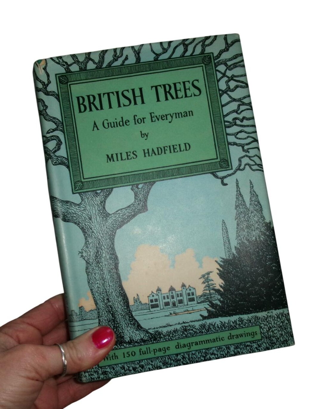 1957 BRITISH TREES A Guide for Everyman by Miles Hadfield, Illustrated ...