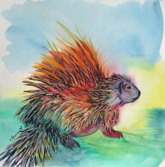 Porcupine art porcupine watercolour porcupine picture Mixed Media ...