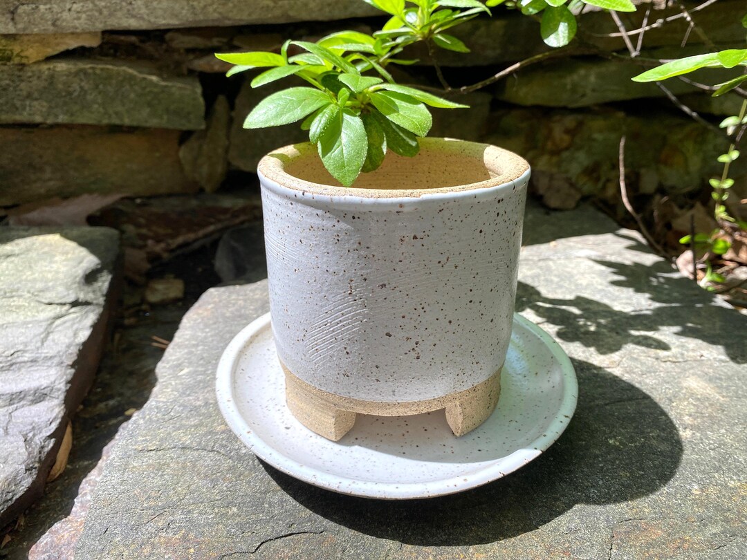 Pottery Planter With Feet, Drainage, and Matching Saucer, Speckled ...