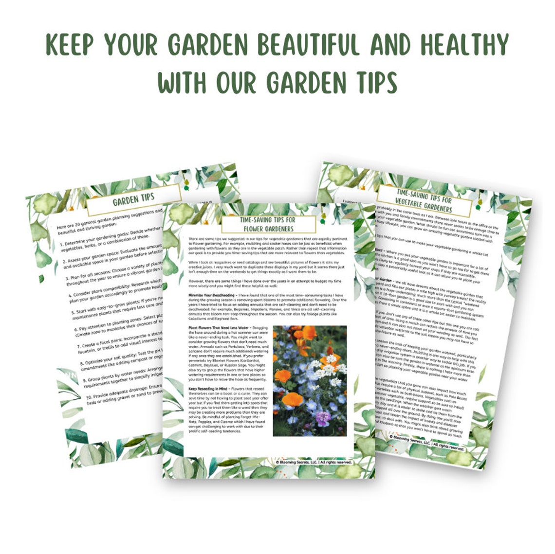 Printable Garden Planner: Plant Planner, Tracker & Task Organizer (PDF ...