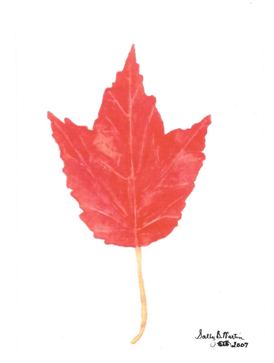 RED MAPLE LEAF Print of Watercolor Painting - Etsy