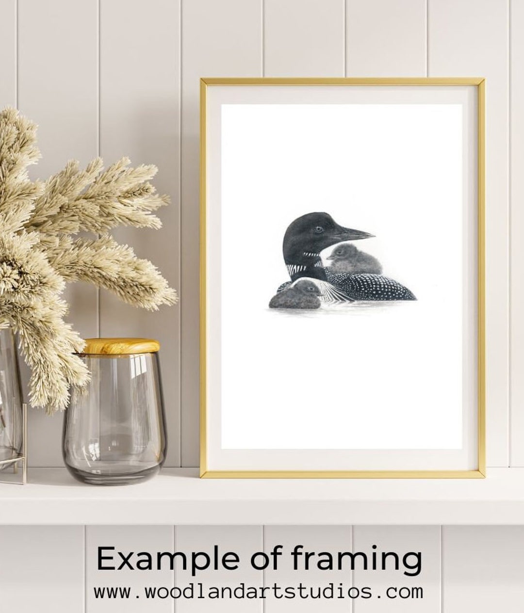 Loon Art Print - Common Loon With Two Chicks - Loon Art Signed by the ...