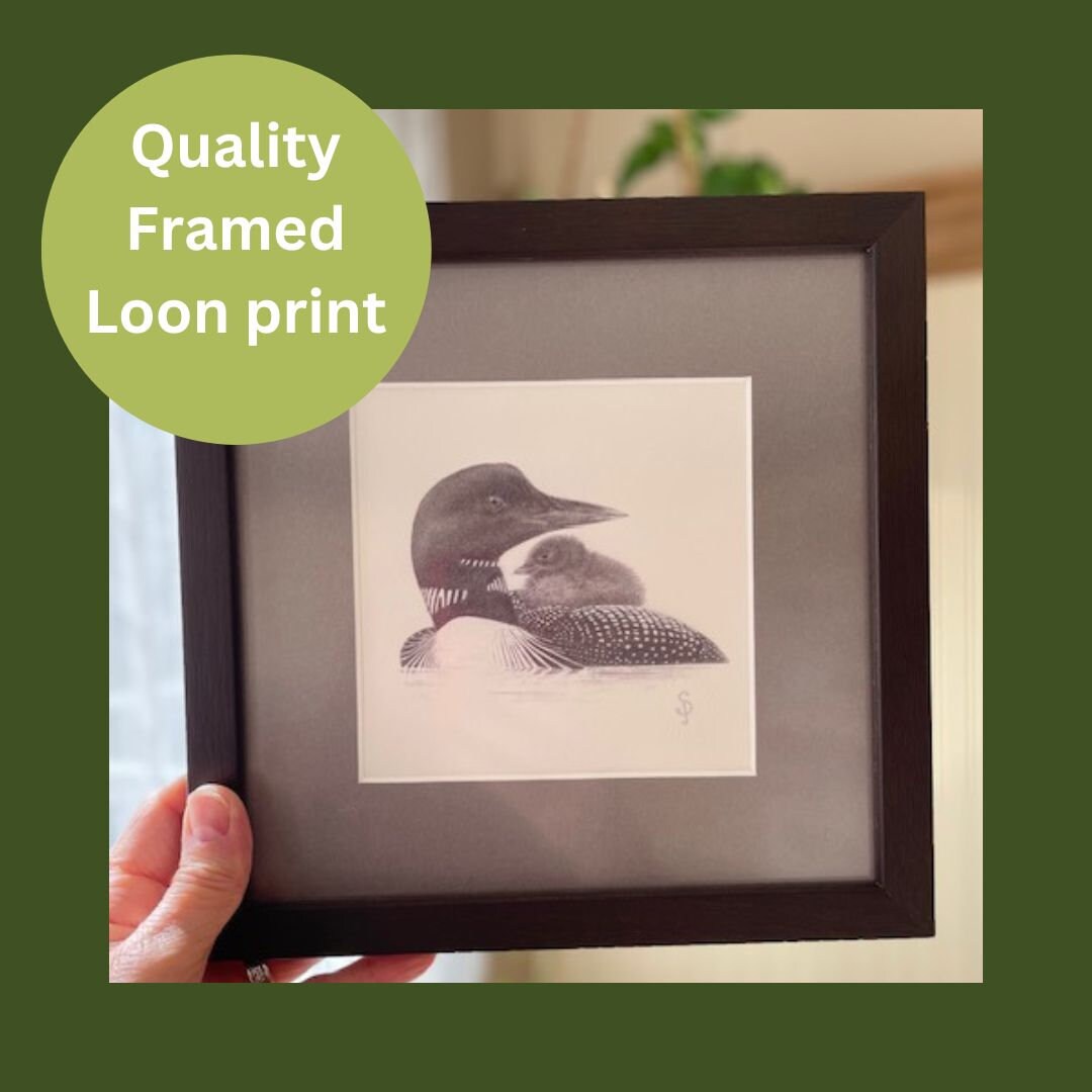 Loon Art Print - Framed Loon Artwork in an 8 X 8 Frame- Framed Bird Art ...