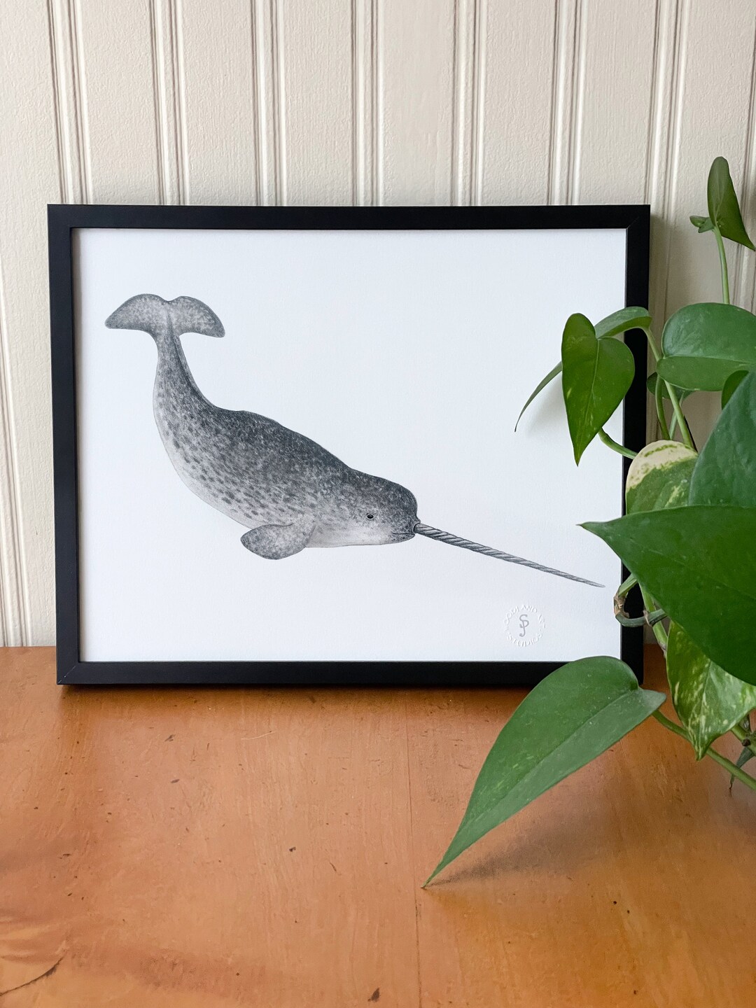 Narwhal Art Print - Original Whale Wall Art Signed by the Artist ...