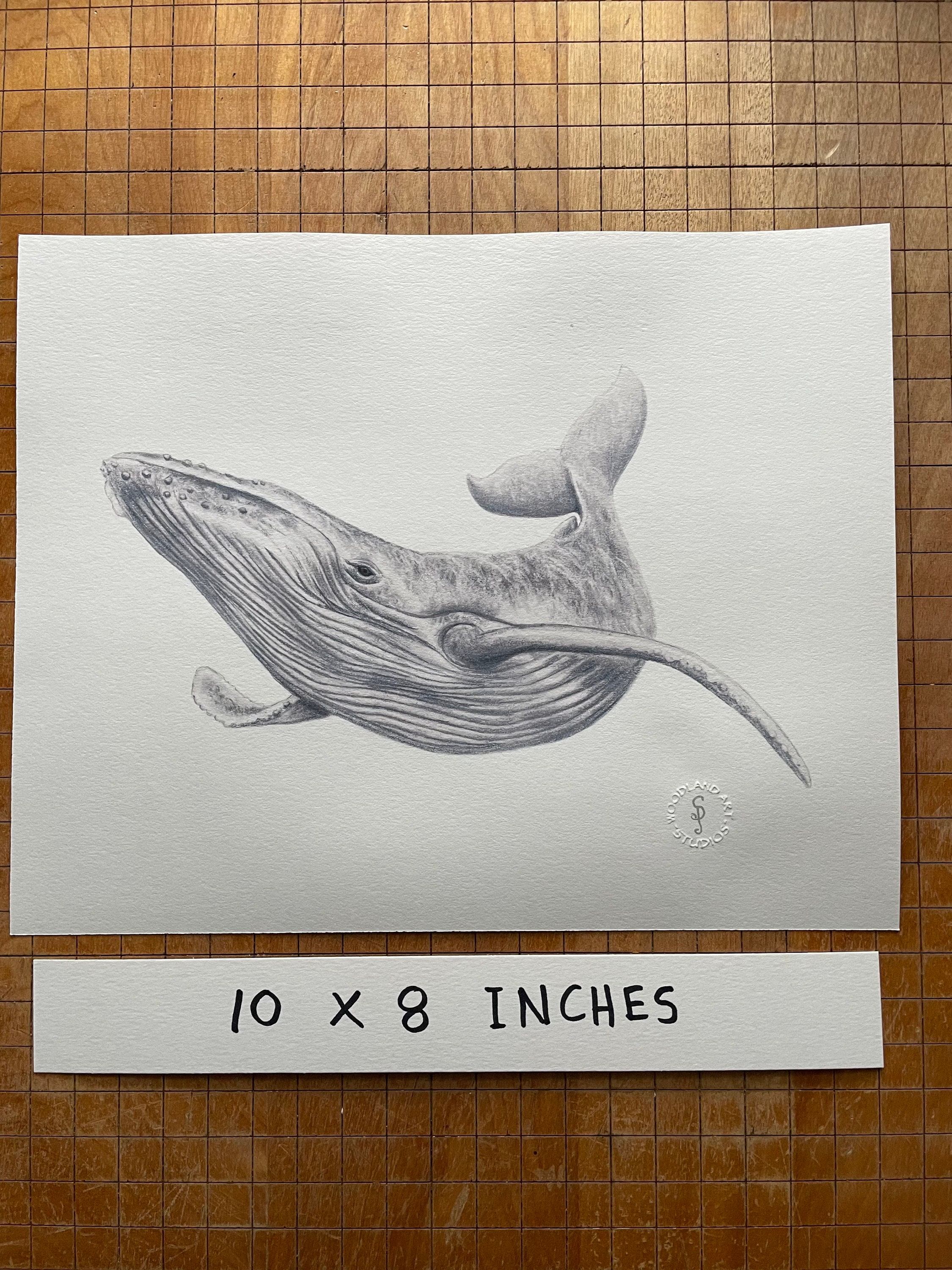 Whale Art Print Humpback Whale Wall Art beach Themed Art Whale Wall Art ...