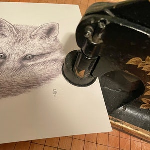 Fox Art Print - Cute Fox Wall Art Embossed for Authenticity - Gift for ...