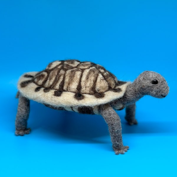 Needle Felted Turtle - Etsy