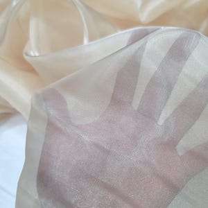 Beige Silk Organza Iridescent Sheer Fabric Sold by the Yard Party ...
