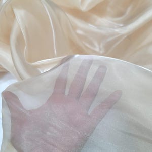 Beige Silk Organza Iridescent Sheer Fabric Sold by the Yard Party ...