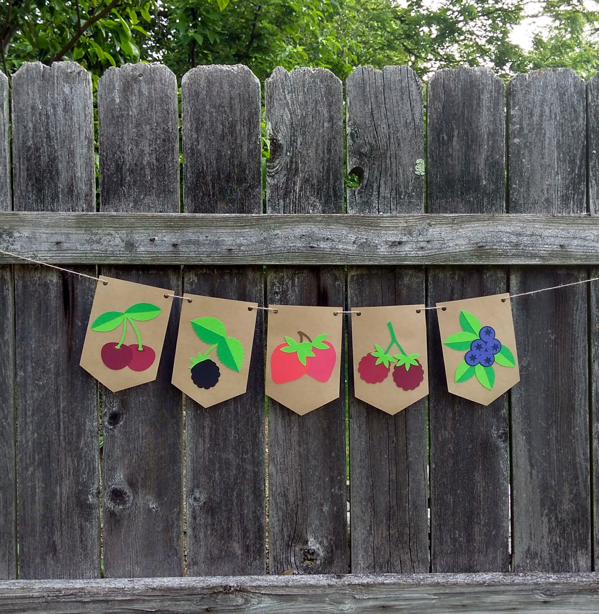 Berry Banner Farmer's Market Decor Berry Patch Fruit - Etsy