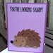 Cute Card Porcupine Card Woodland Greeting Card Encouragement Card Love ...