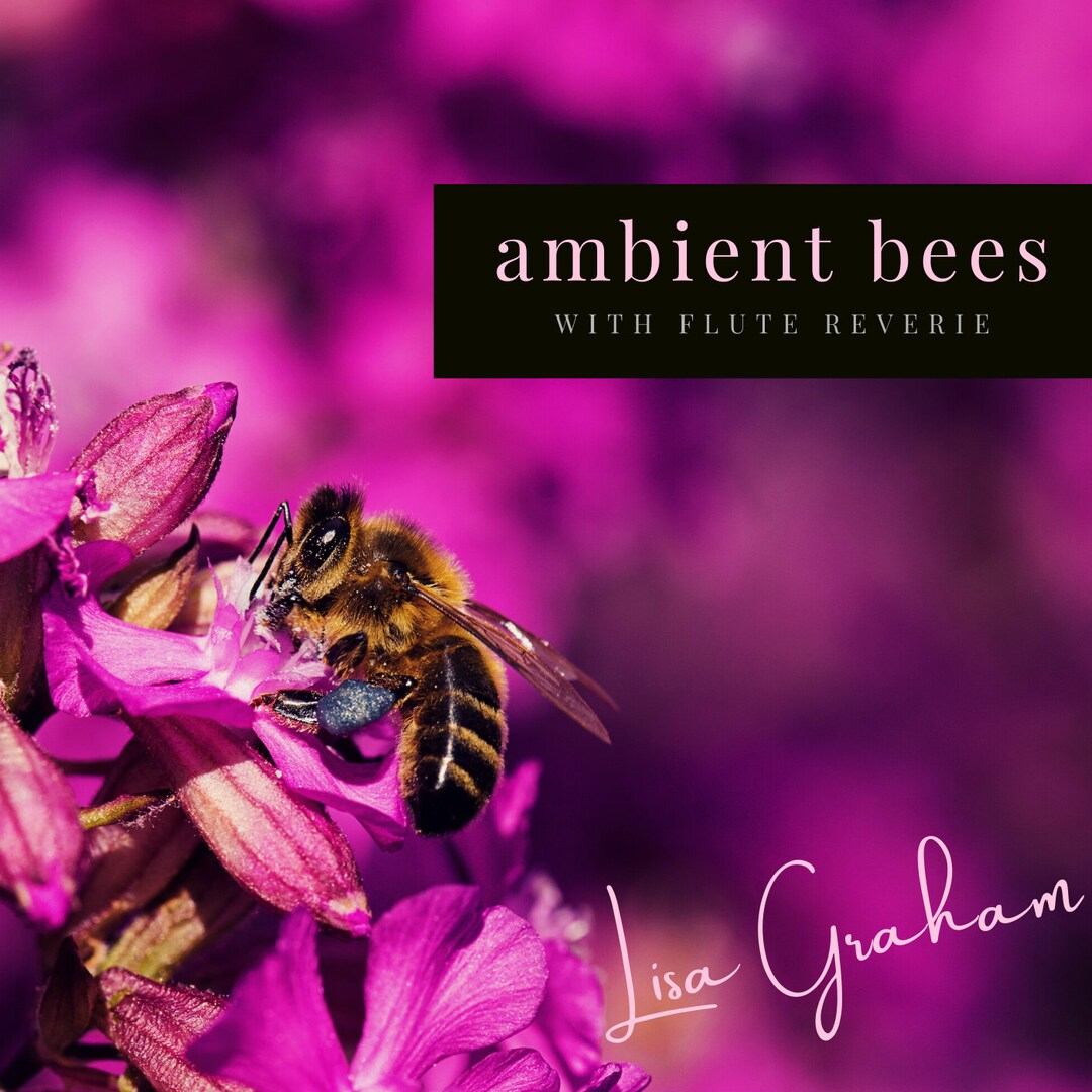 Ambient Bees With Flute Reverie Digital Download [album] - Etsy