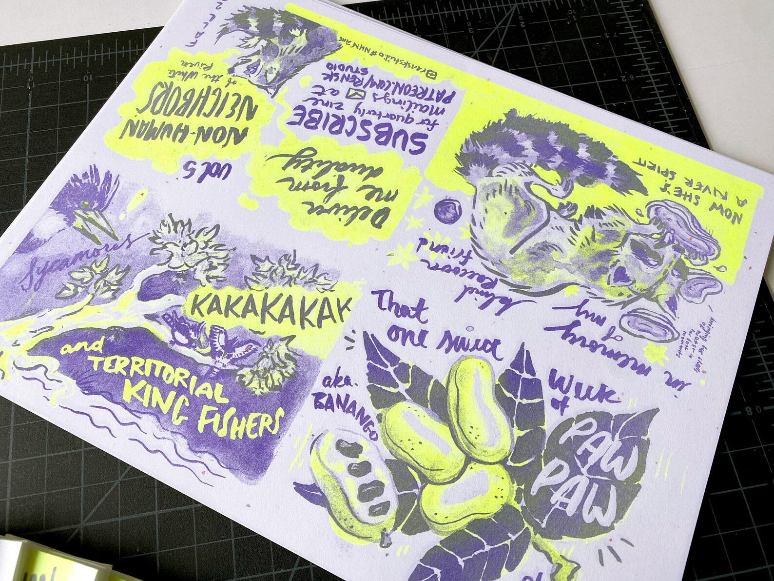 Non-human Neighbors Mini Zine VOL 5 Limited Edition Riso Prints - Etsy