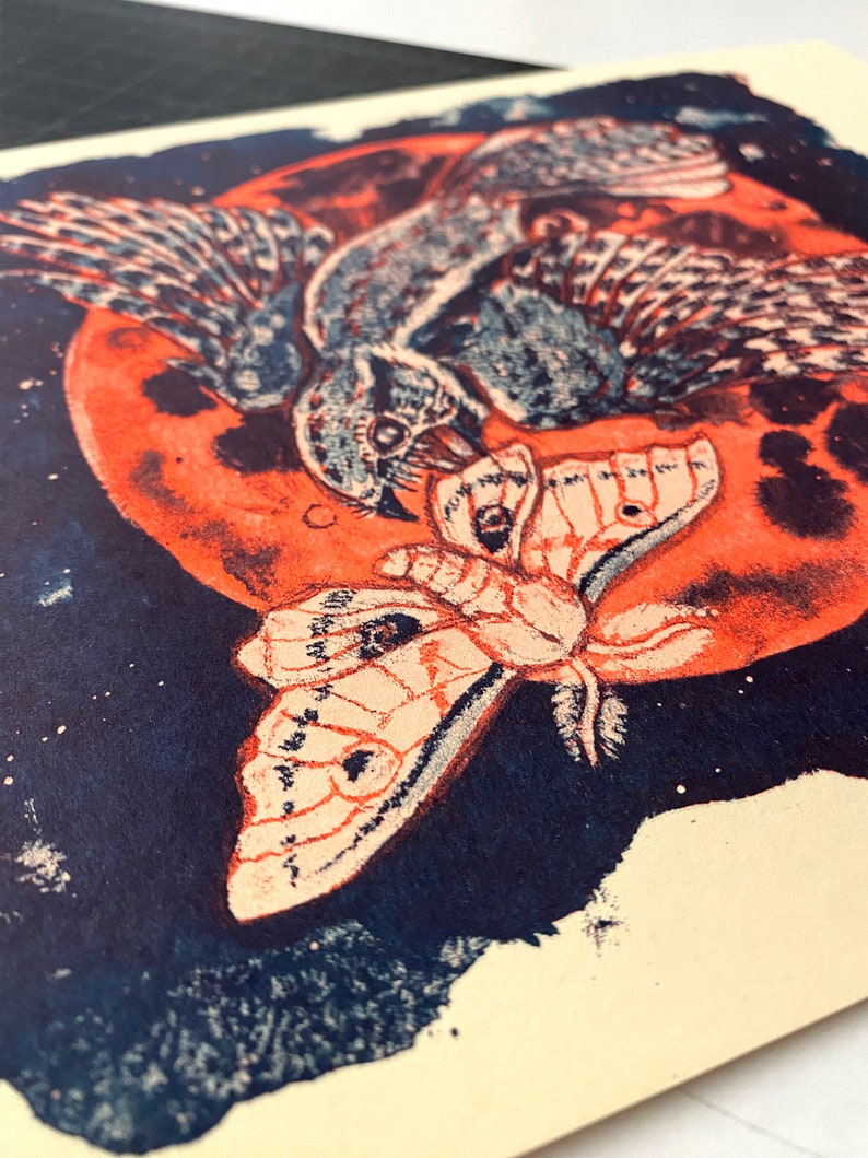 Blood Moon Whippoorwill Moth Limited Edition Print 8.5x11" - Run of 100 ...