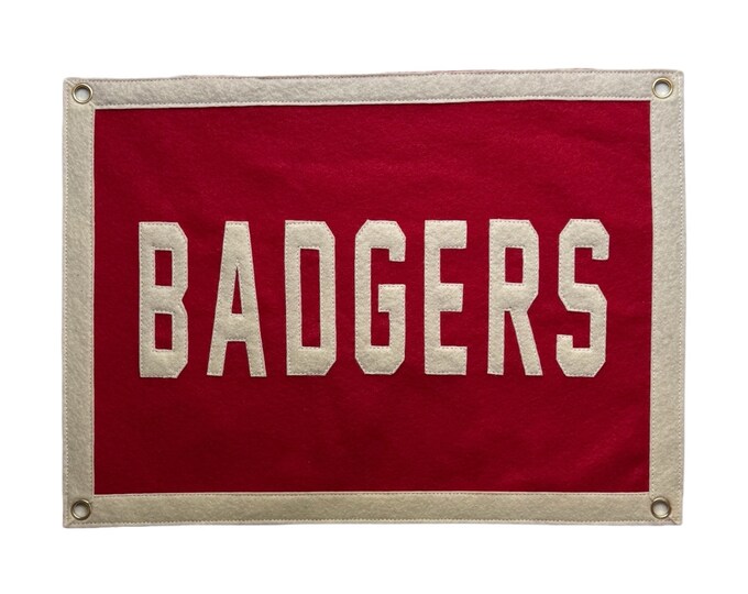 1960's Vintage Wisconsin Badgers College University Pennant Flag Banner ...