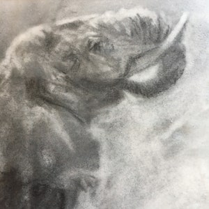 ELEPHANT GRAPHITE DRAWING, Etosha Waterhole, Encaustic Drawing of an ...
