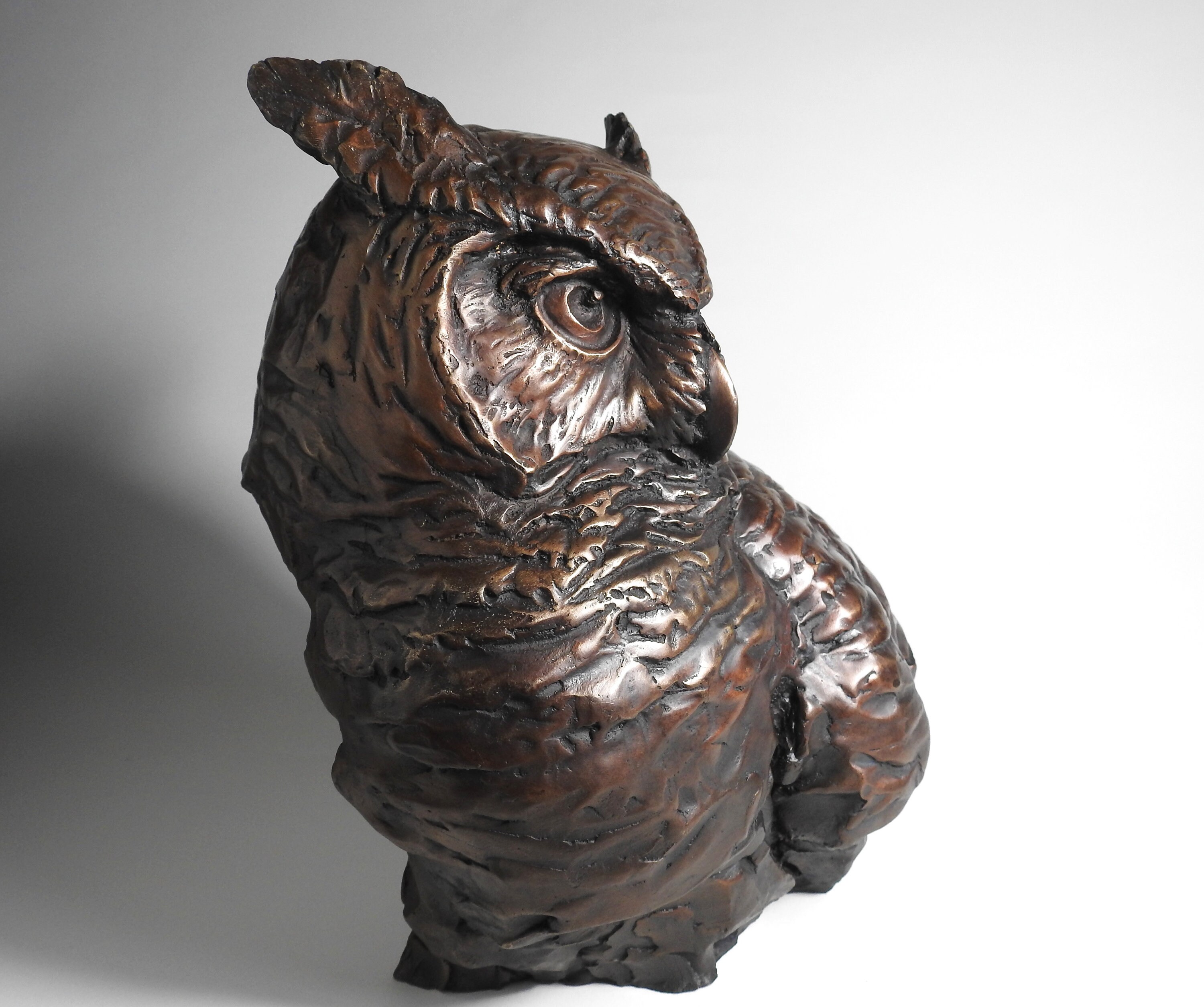 Hand-cast Bronze Great-horned Owl Bust Sculpture, "hunter's Gaze by ...