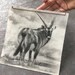 African Oryx Drawing: Original Graphite Encaustic Antelope Art (8x8) by ...