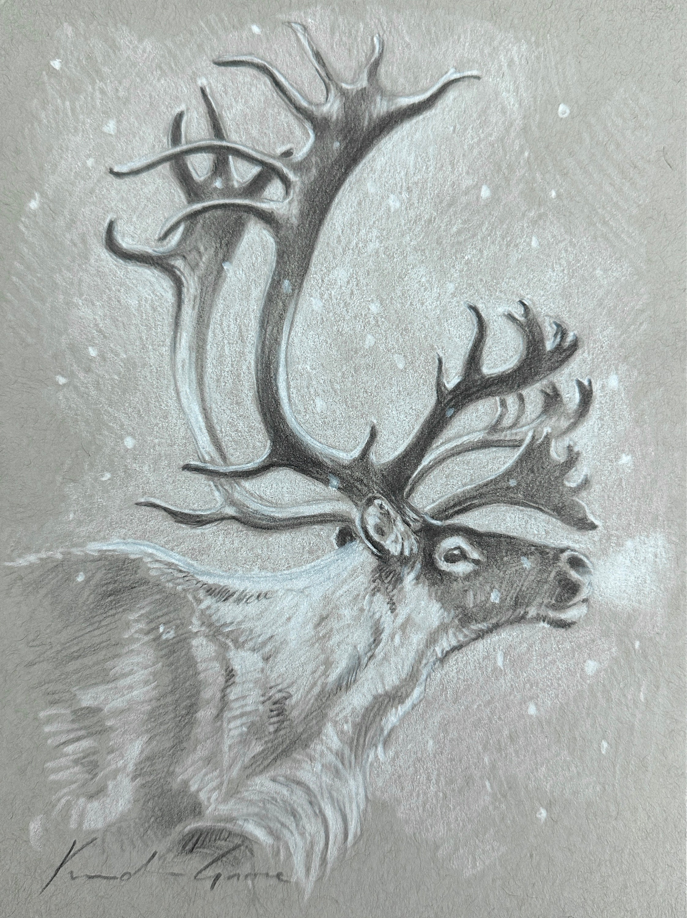 Kariboe Tekening Eenvoudig Caribou Drawing Etsy Nederland