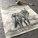 African Oryx Drawing: Original Graphite Encaustic Antelope Art (8x8) by ...