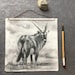 African Oryx Drawing: Original Graphite Encaustic Antelope Art (8x8) by ...