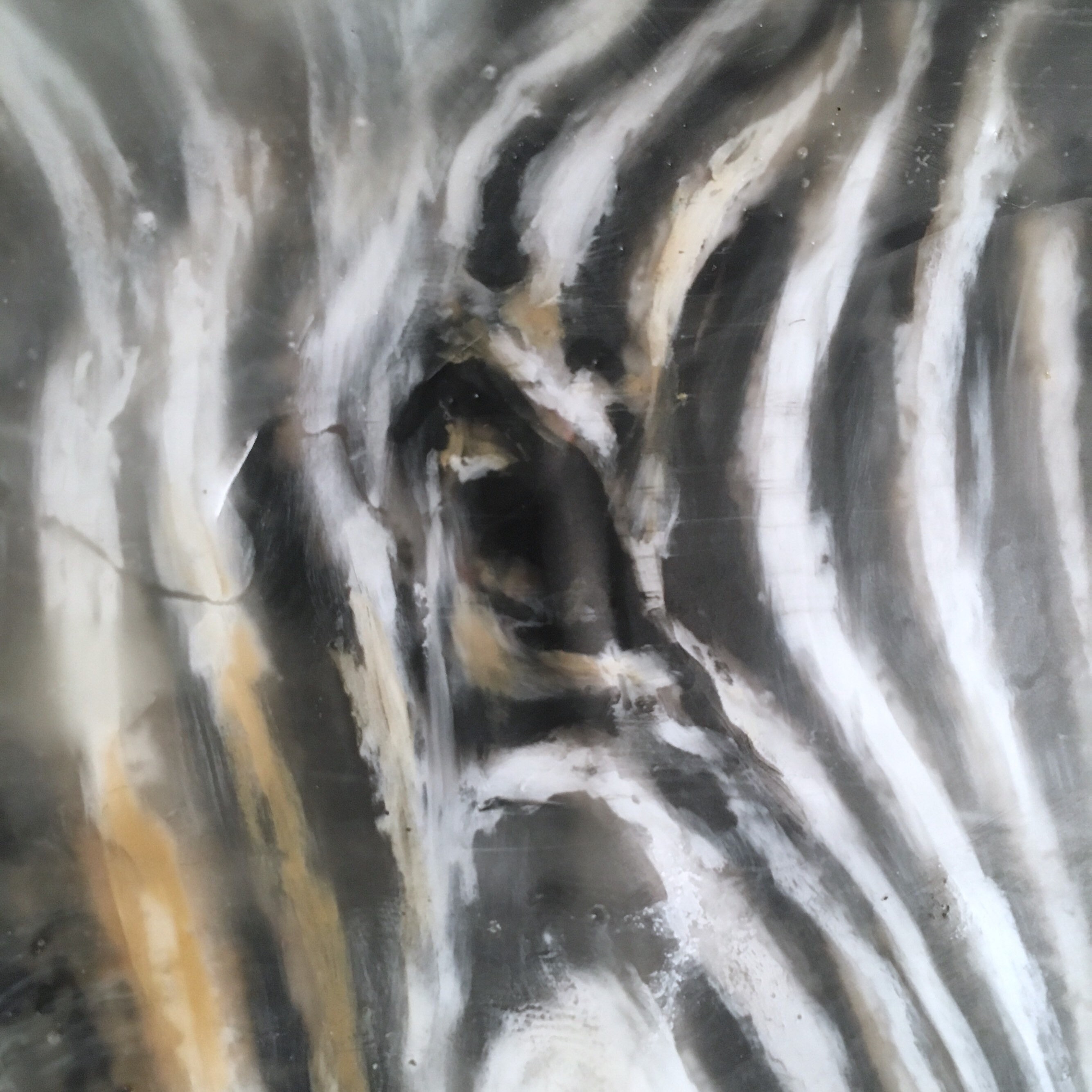 Zebra Yearling Encaustic Painting: Original Oil Pastel Art by Kindrie ...