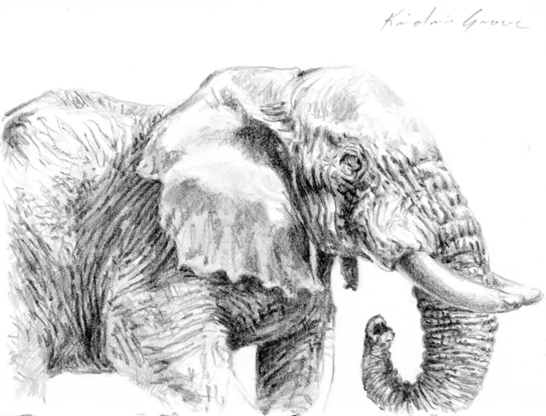 PRINTABLE ELEPHANT DRAWING, Walking Elephant, African Animal Sketch ...