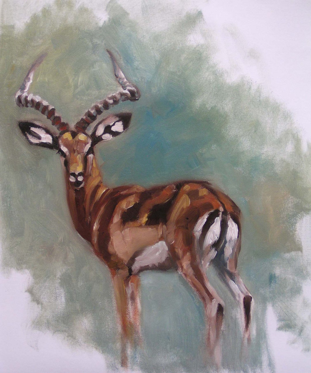 IMPALA PAINTING, Original Art, African Antelope Oil by Canadian Artist ...